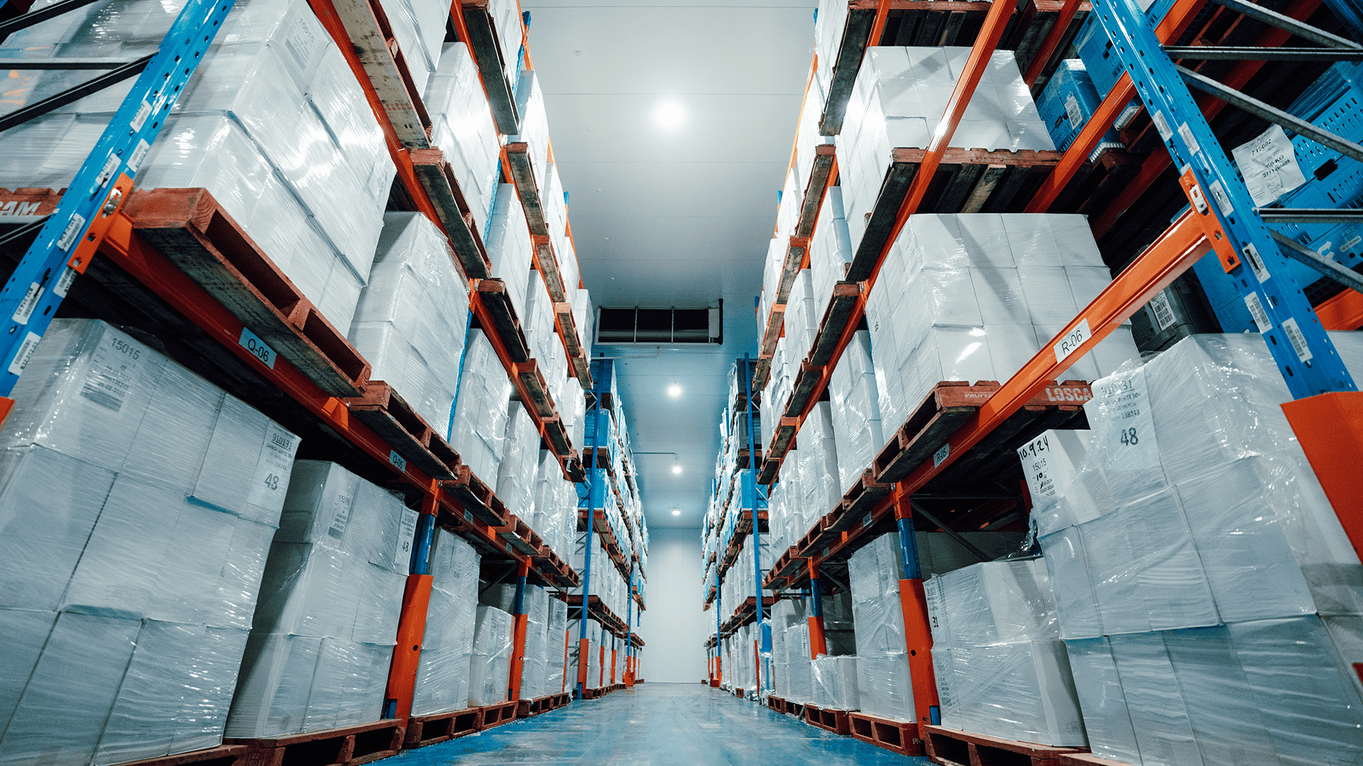 Understanding Cold Storage and Its Business Benefits - Minus 1